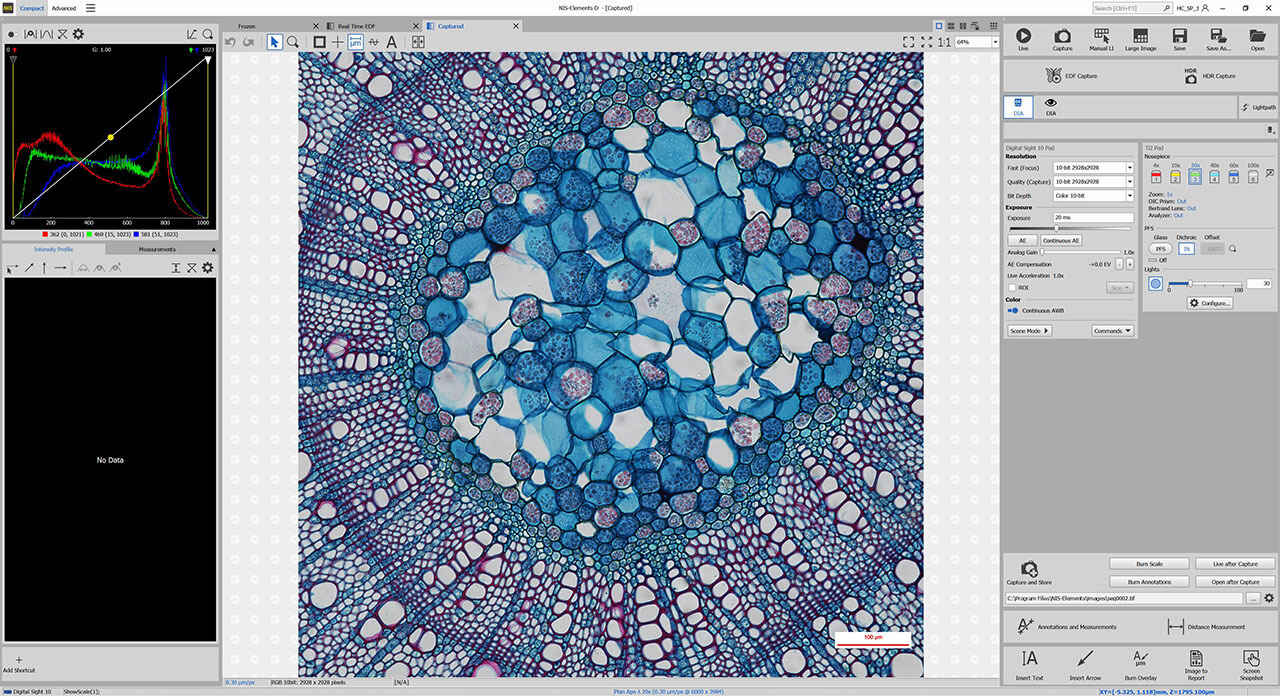 NIS-Elements Documentation | NIS-Elements | Software | Microscope ...