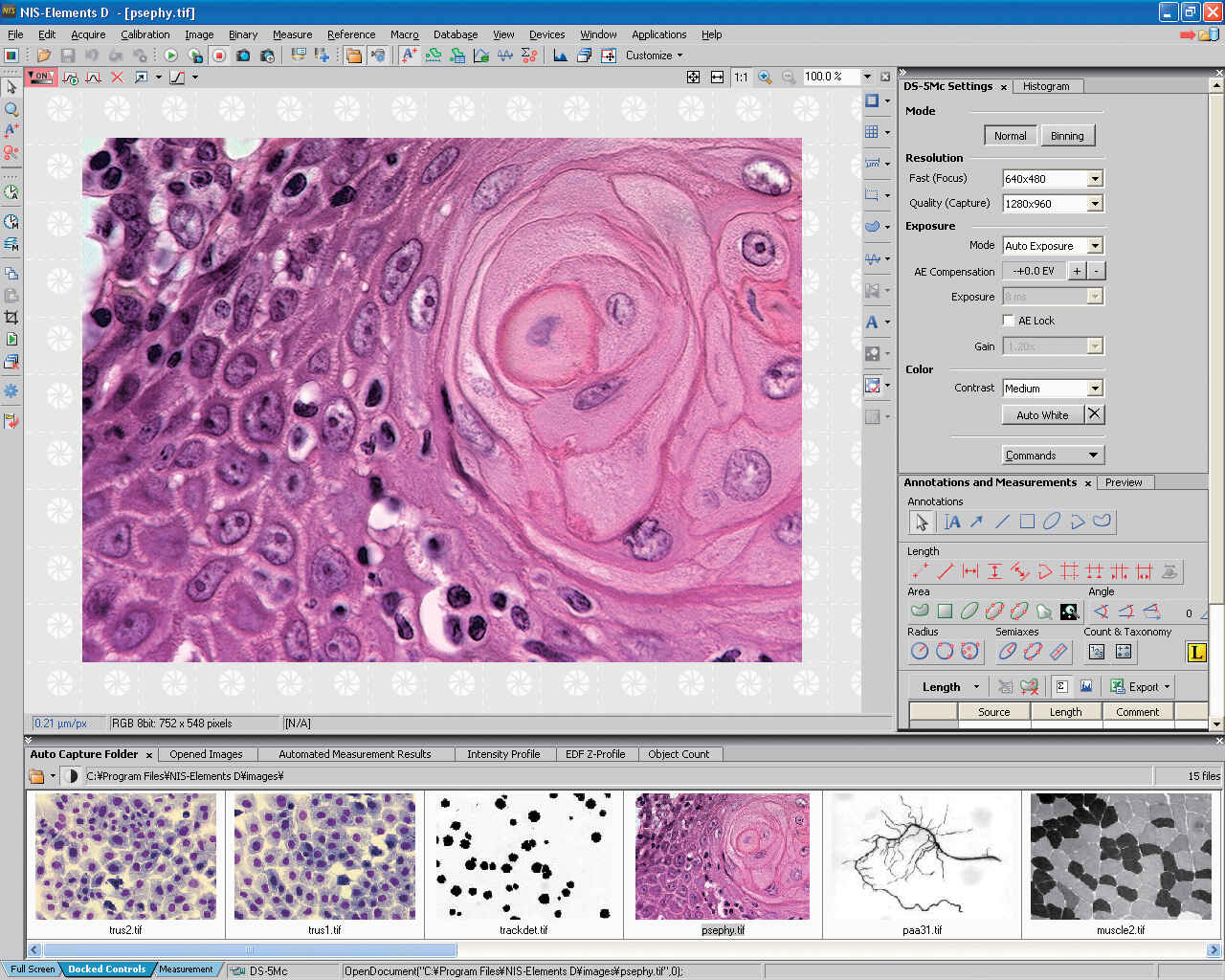 NIS-Elements 文件 | NIS-Elements | 软件 | 生物显微镜 | 尼康仪器（上海）有限公司