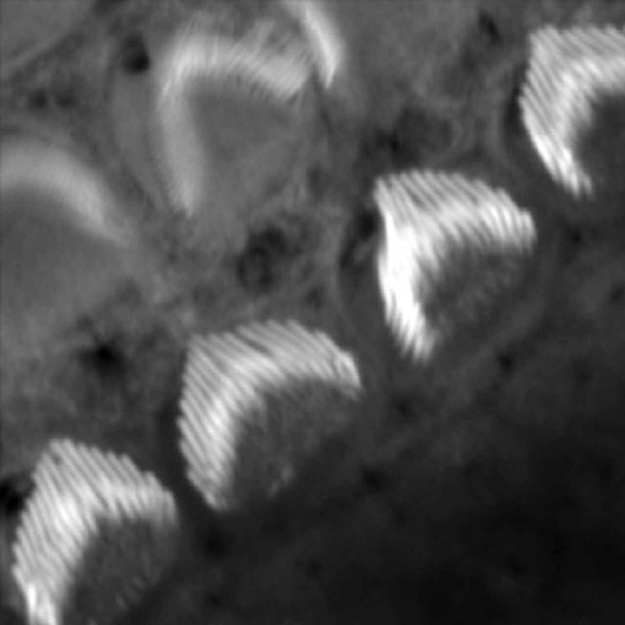 NIS-Elements 共聚焦 | NIS-Elements | 软件 | 显微镜产品 | 尼康精机（上海）有限公司