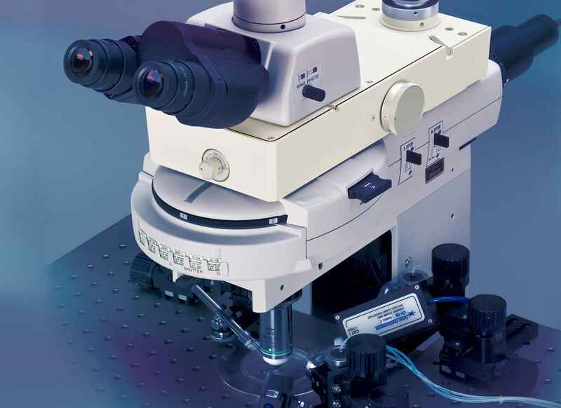 ECLIPSE FN1 | Upright Microscopes | Microscope Products | Nikon ...