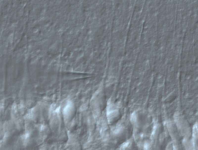 Upright Microscope Eclipse FN 1 | EINST Technology Pte Ltd.