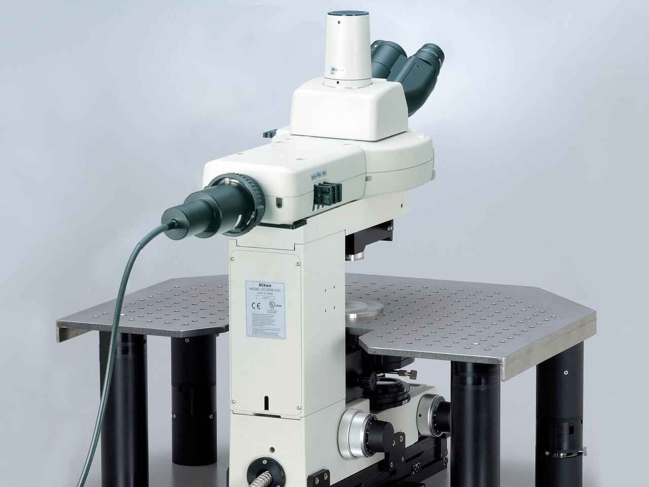 ECLIPSE FN1 | Upright Microscopes | Microscope Products | Nikon ...