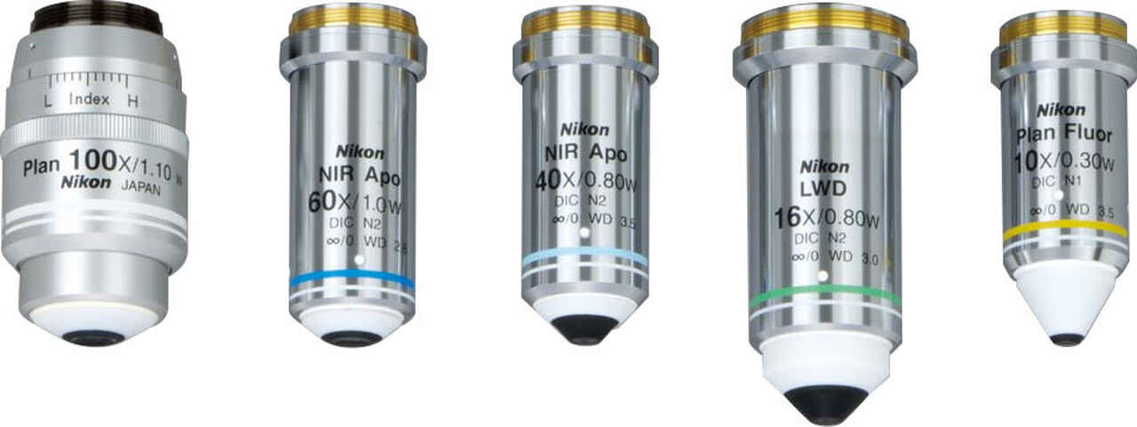 ECLIPSE FN1 | Upright Microscopes | Microscope Products | Nikon ...