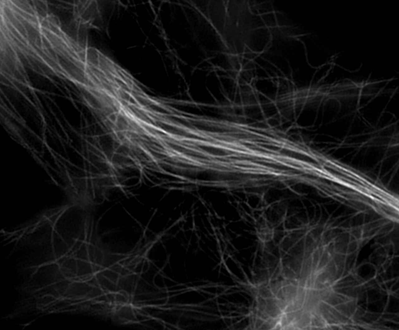 Super-Resolution Microscope N-SIM E | EINST Technology Pte Ltd.