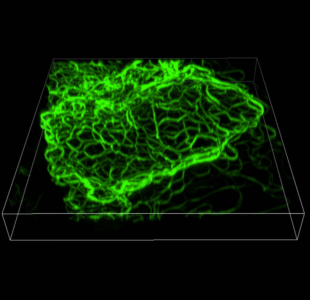 Nikon Super-Resolution Microscope N-SIM S | EINST Technology Pte Ltd.