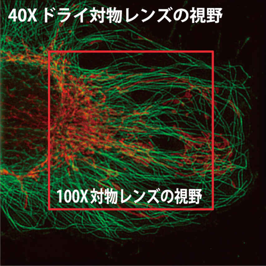 N-SIM S | 超解像顕微鏡 | 生物顕微鏡 | 株式会社ニコンソリューションズ