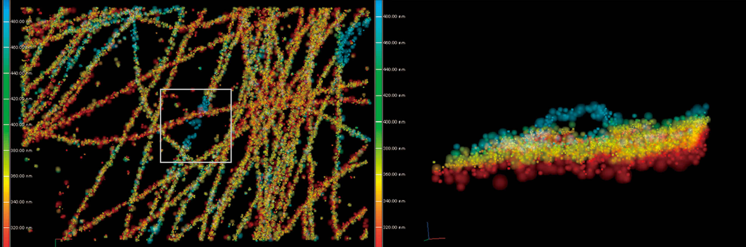 N-STORM | Super-Resolution Microscopes | Microscope Products | Nikon ...