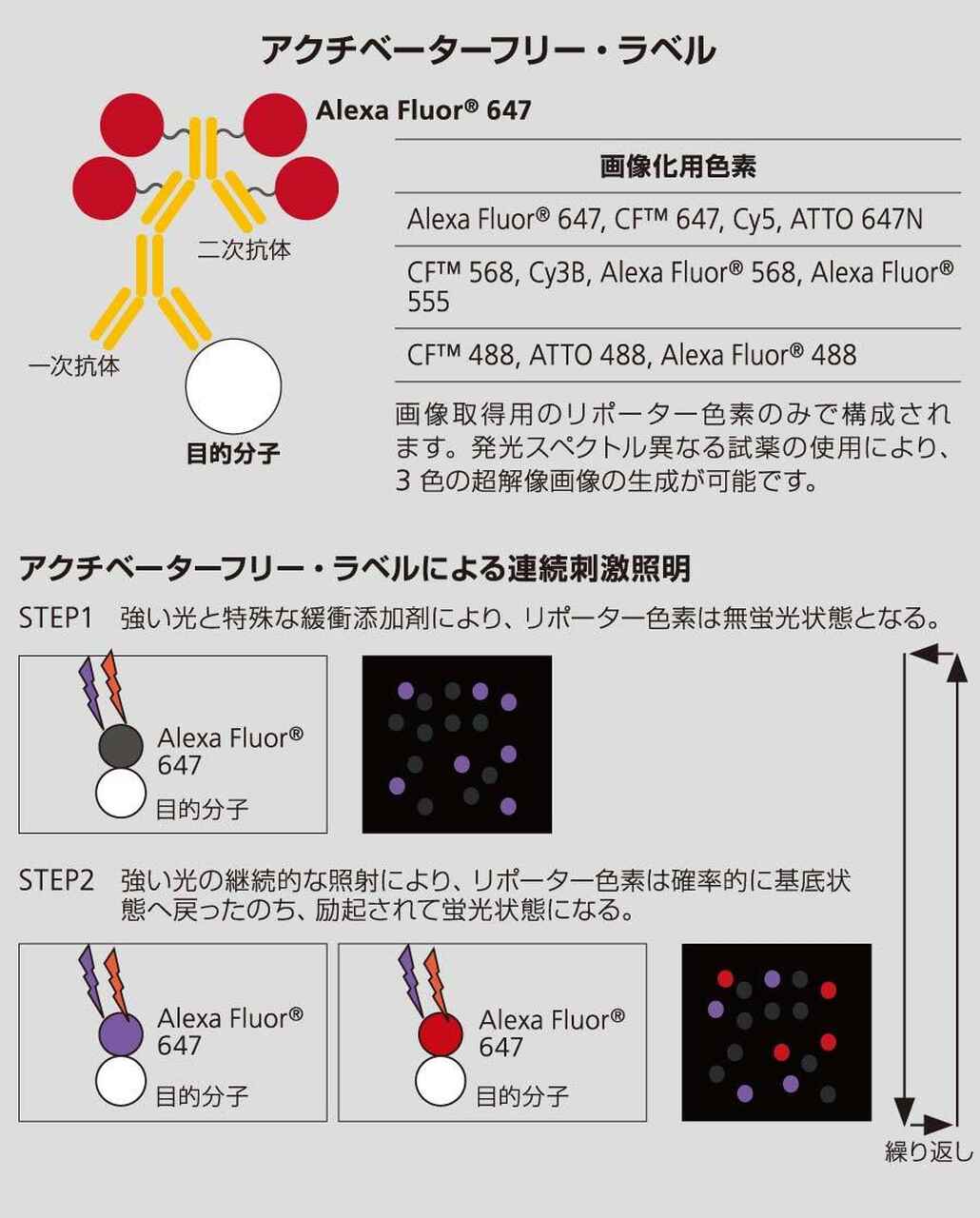 N-STORM（Stochastic Optical Reconstruction Microscopy）法の原理 | N-STORM | 超 ...
