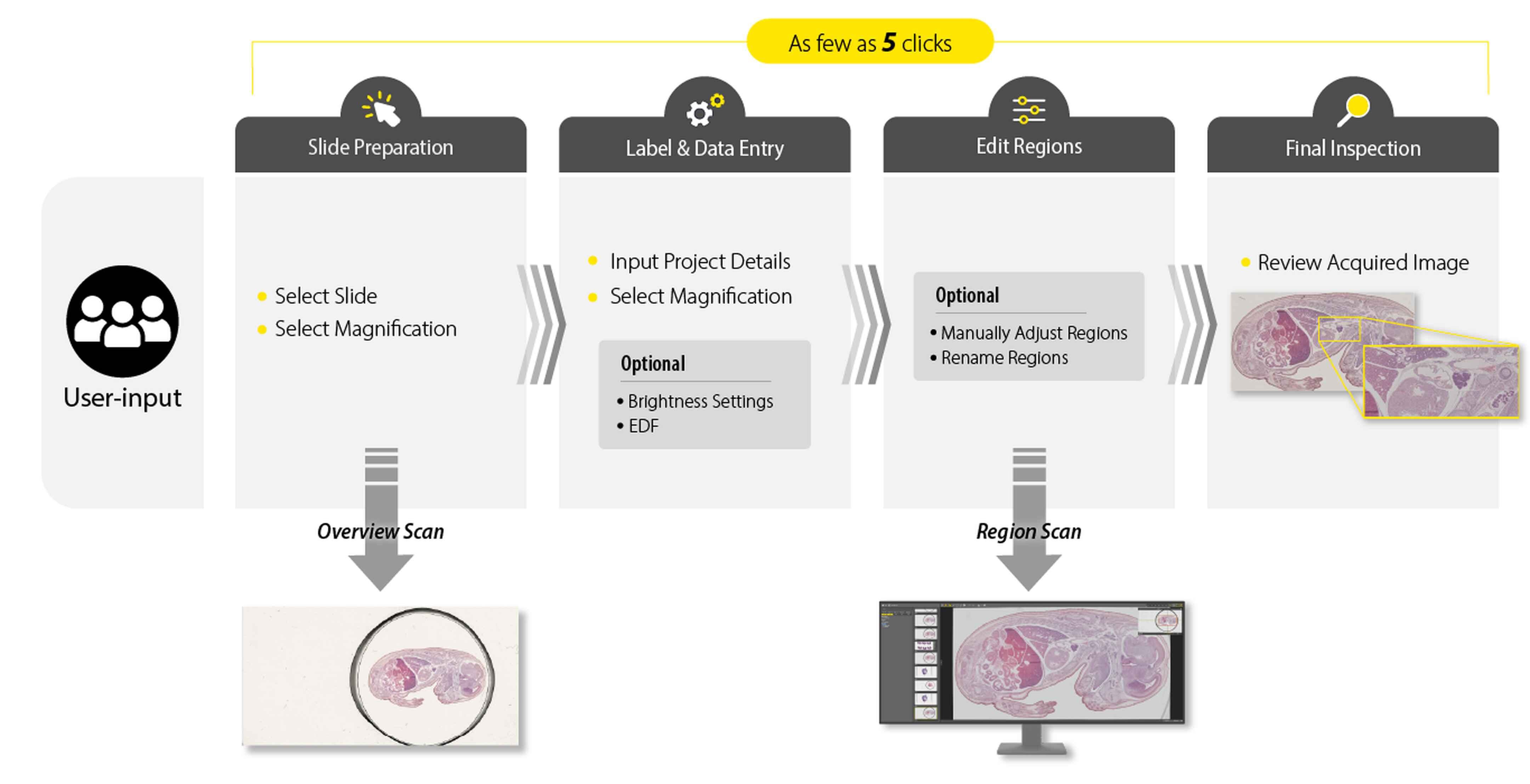 NIS-Elements Slide Scanning Module | Slide Scanning | Microscope ...