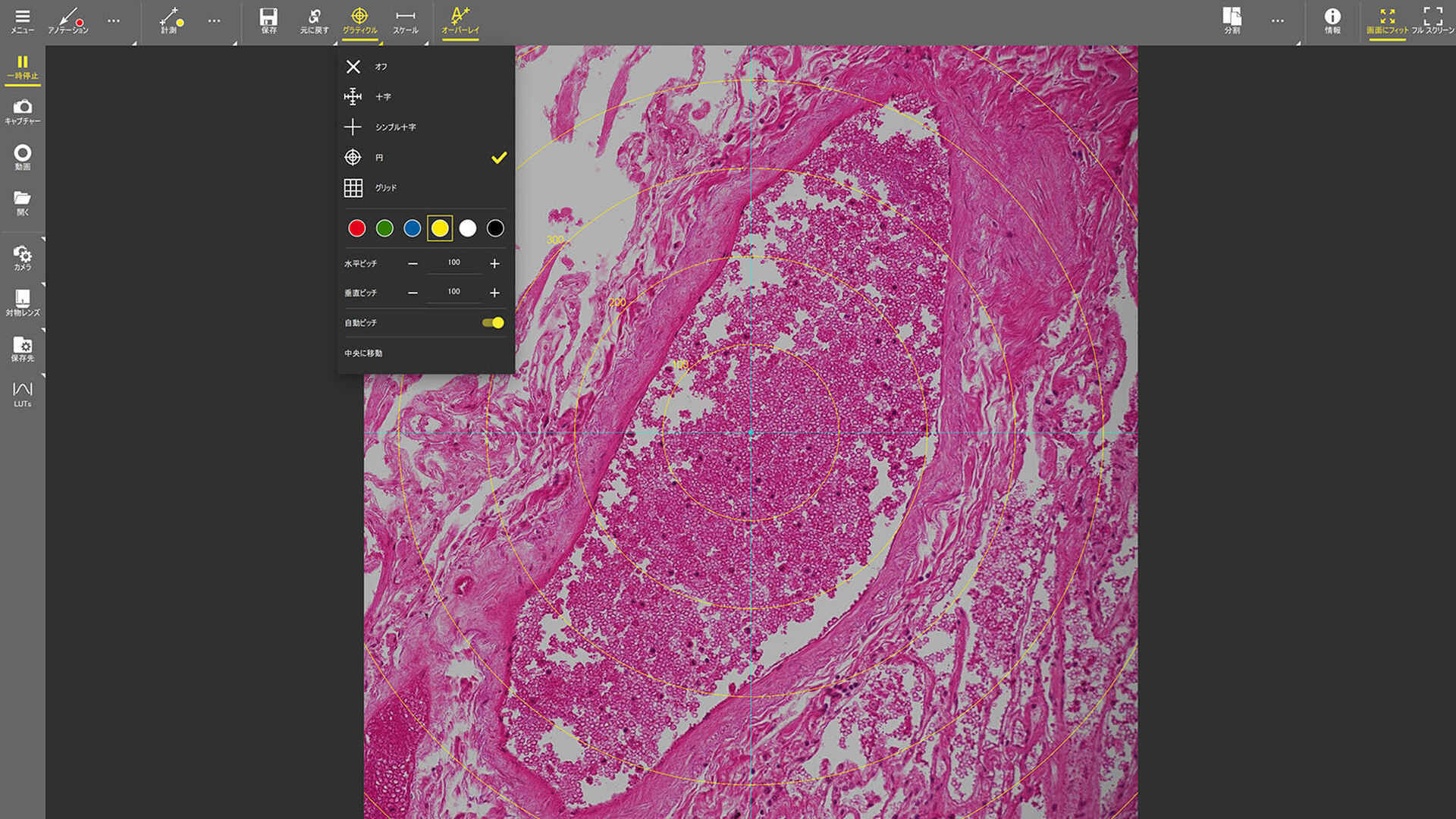 NIS-Elements L | Cameras | Microscope Products | Nikon Instruments Inc.