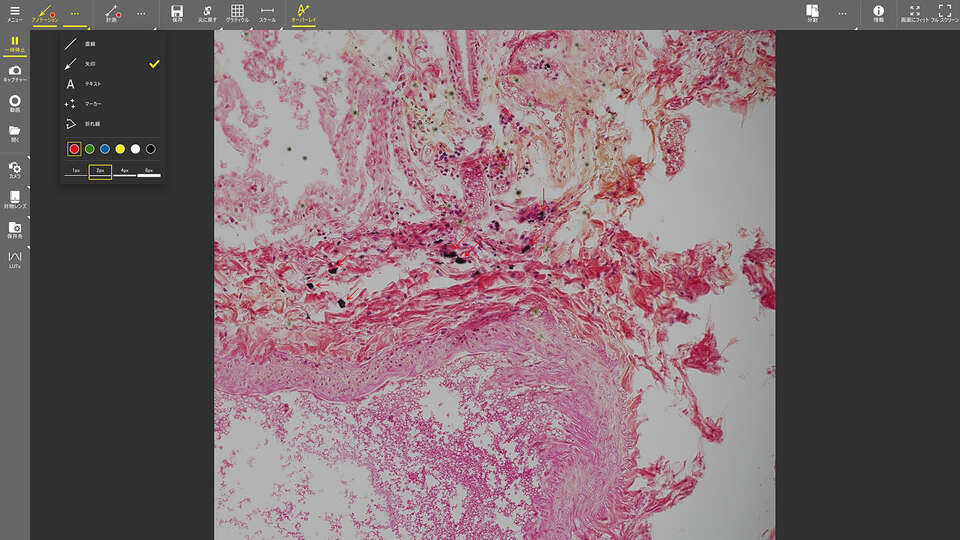 NIS-Elements L | Cameras | Microscope Products | Nikon Instruments Inc.