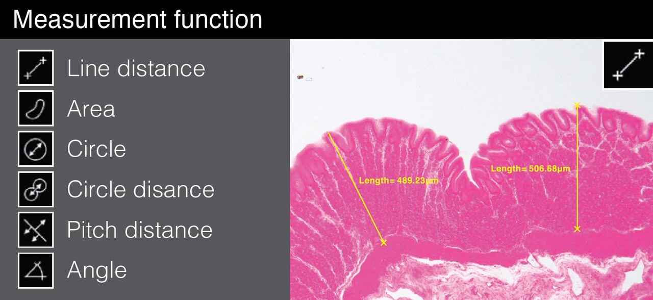 NIS-Elements L | Cámaras | Productos de microscopía | Nikon Instruments ...