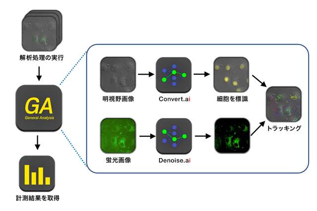 NIS.ai | NIS-Elements | ソフトウェア | 製品・サービス | 株式会社ニコンソリューションズ