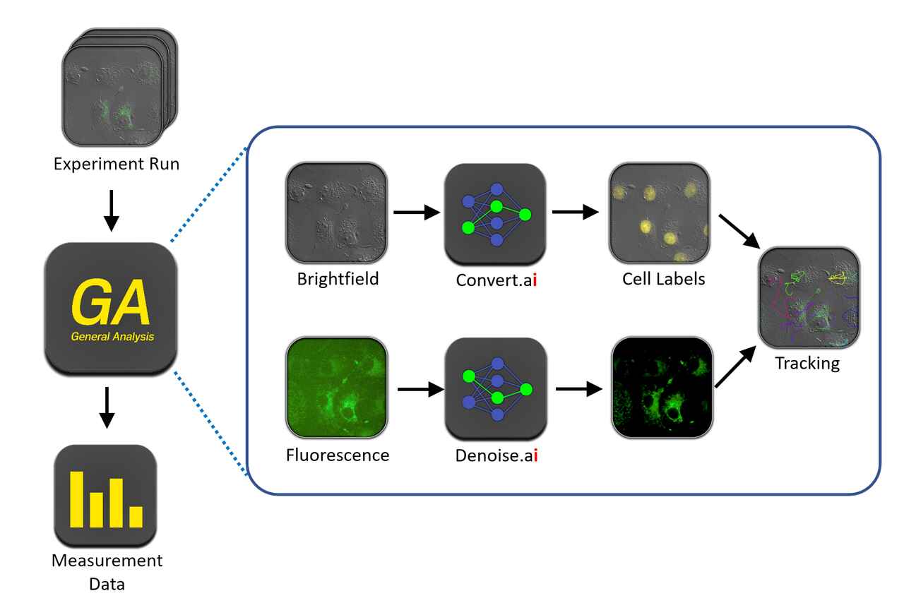 NIS.ai | NIS-Elements | Software | Microscope Products | Nikon Europe B.V.