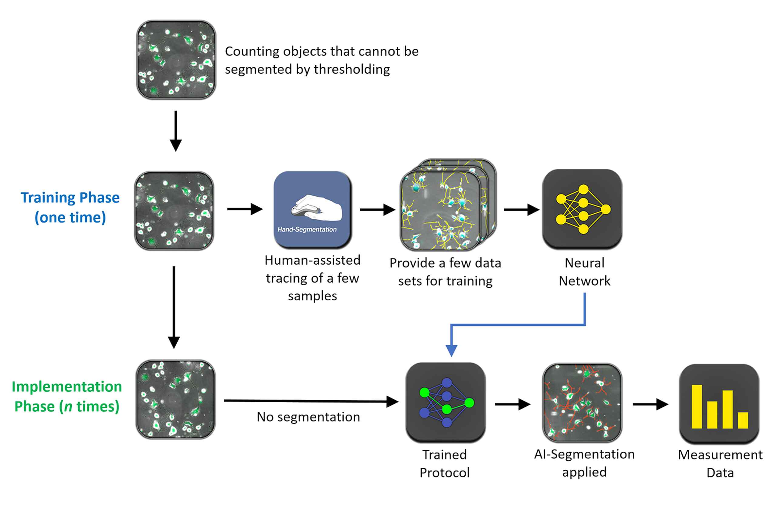 NIS.ai | NIS-Elements | 소프트웨어 | 현미경 제품 | 니콘인스트루먼트코리아
