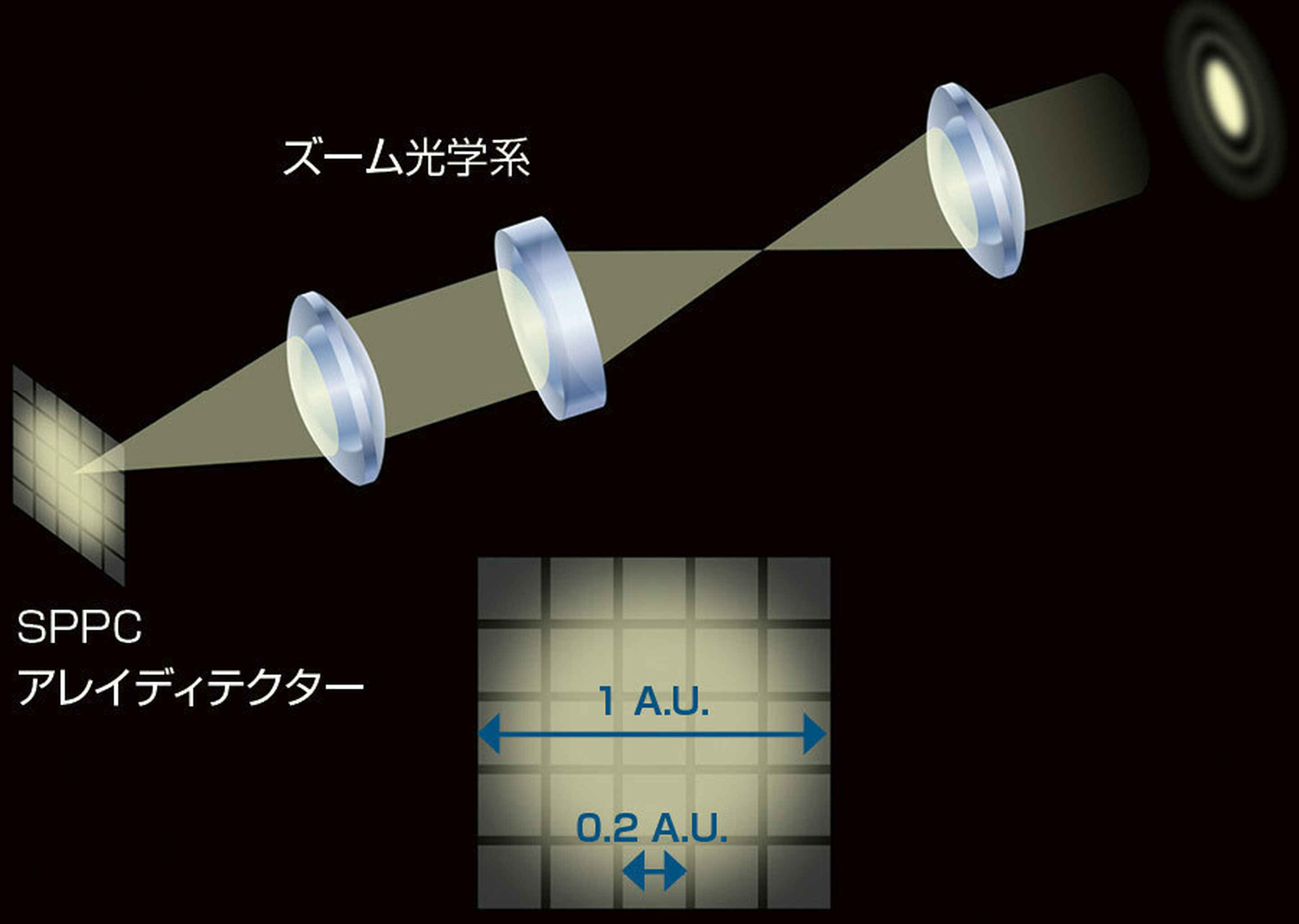 AX / AX R with NSPARC | AX / AX R with NSPARC | 共焦点・多光子励起顕微鏡 | 製品・サービス ...