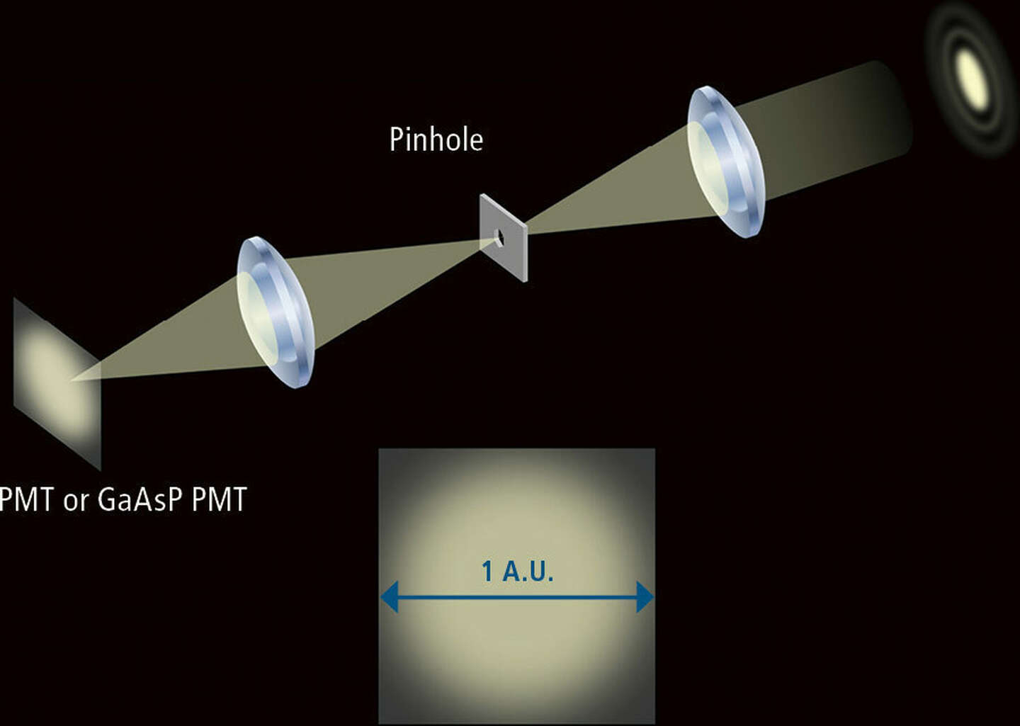 AX / AX R with NSPARC | AX / AX R with NSPARC | 共聚焦和多光子显微镜 | 显微镜产品 | 尼康精机（上海）有限公司