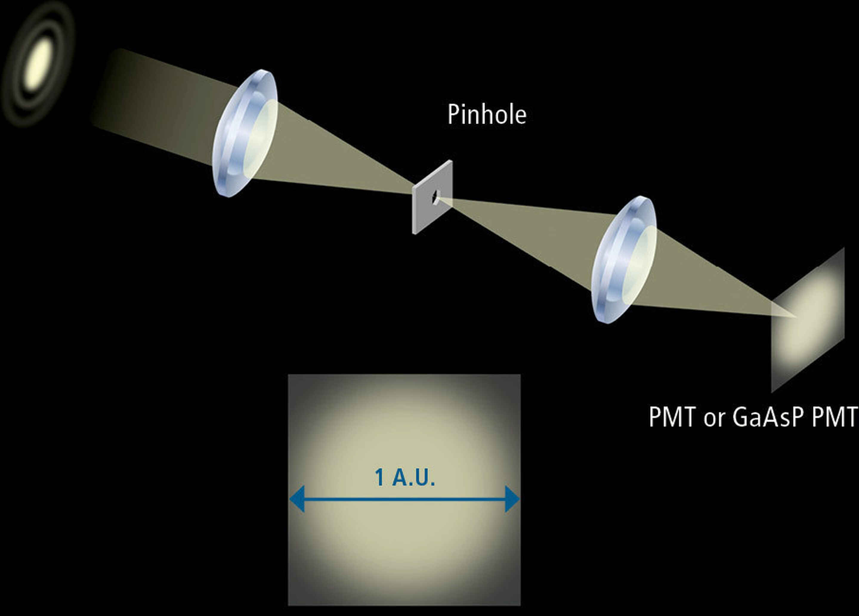 Nikon AX / AX R with NSPARC | EINST Technology Pte Ltd.