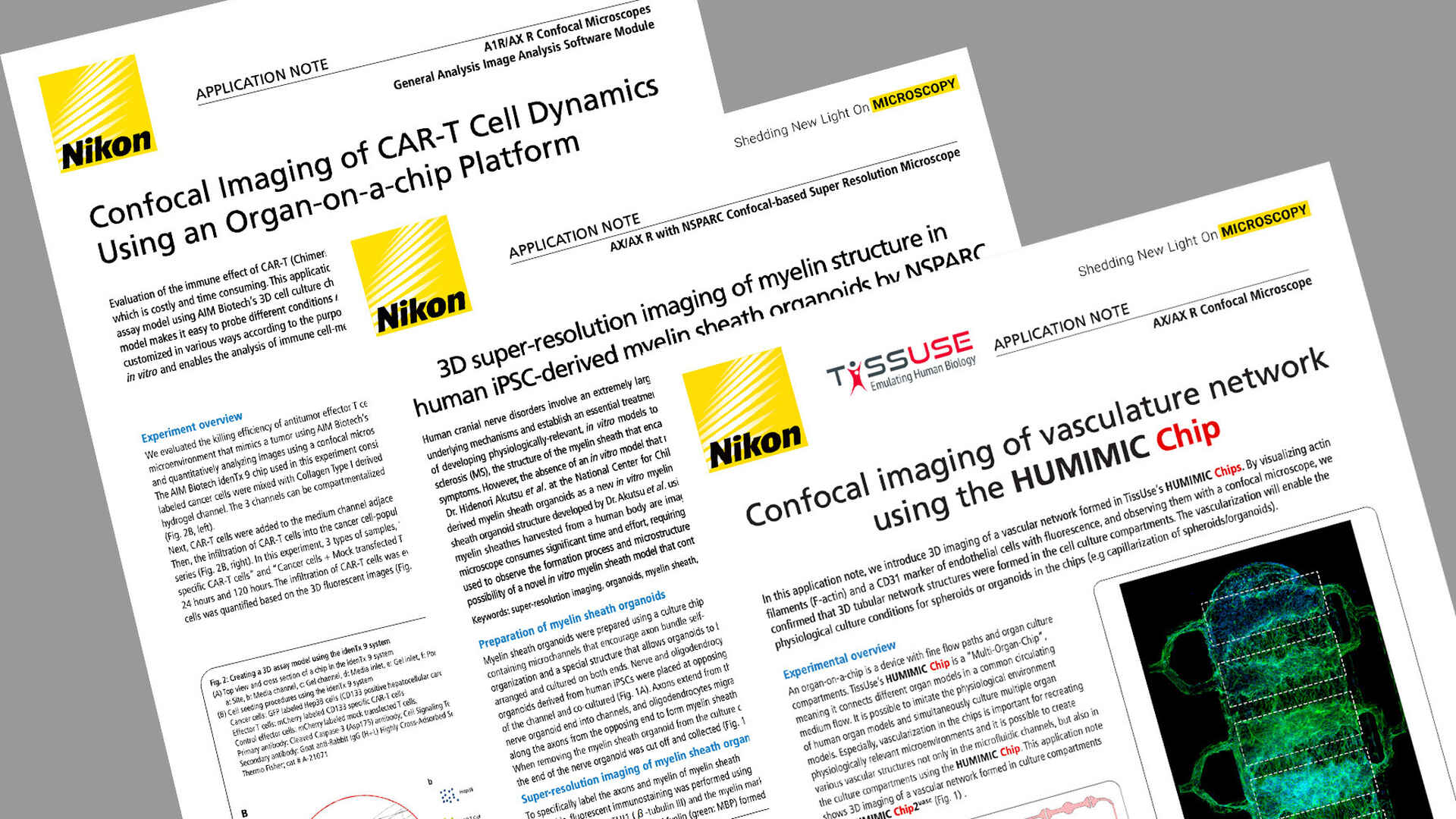 Nikon BioImaging Lab - Europe | Nikon Europe B.V.