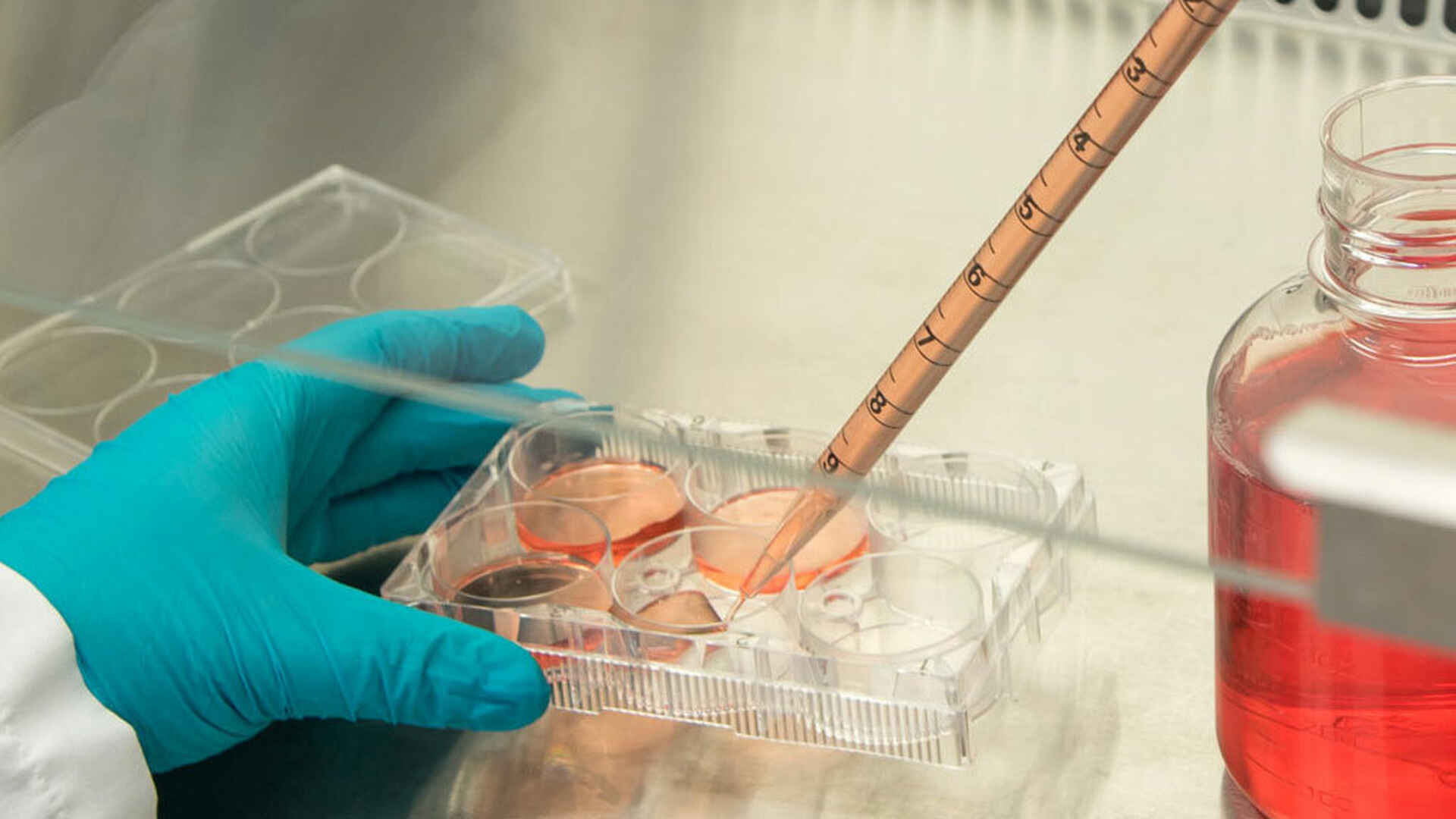 Research Services | Nikon BioImaging Lab - USA | Nikon Instruments Inc.