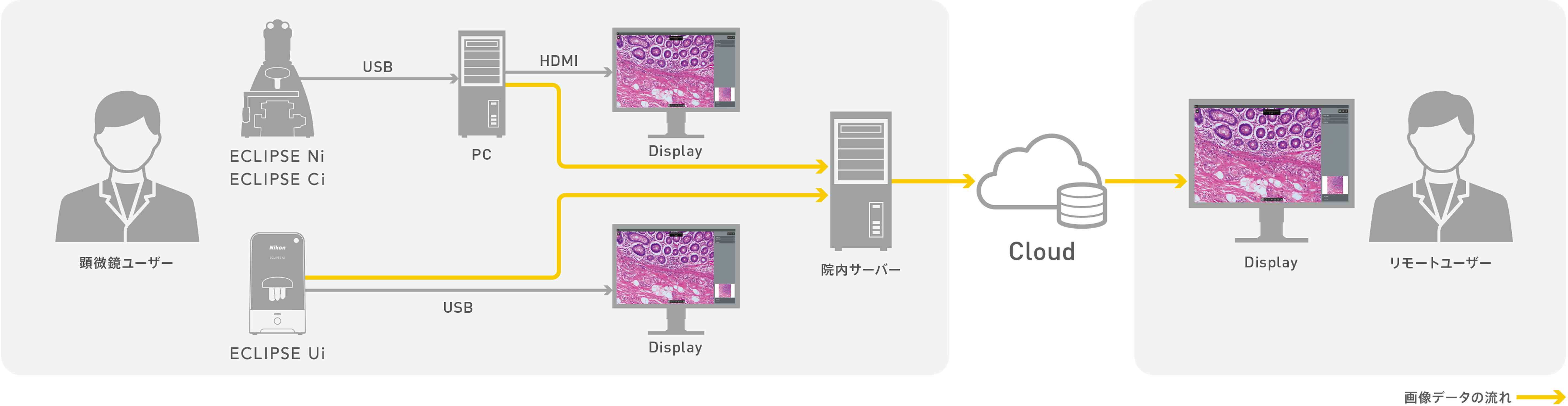 Nikon Pathology Cloud Service | サービス | 製品・サービス | 株式会社ニコンソリューションズ