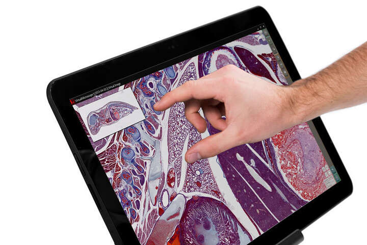 PreciPoint Series | Digital Microscopes | Microscope Products | Nikon Instruments Inc.