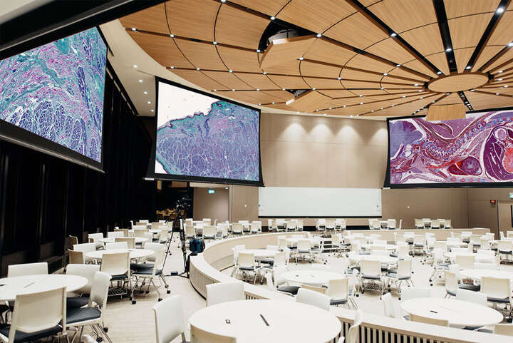 PreciPoint Series | Digital Microscopes | Microscope Products | Nikon ...