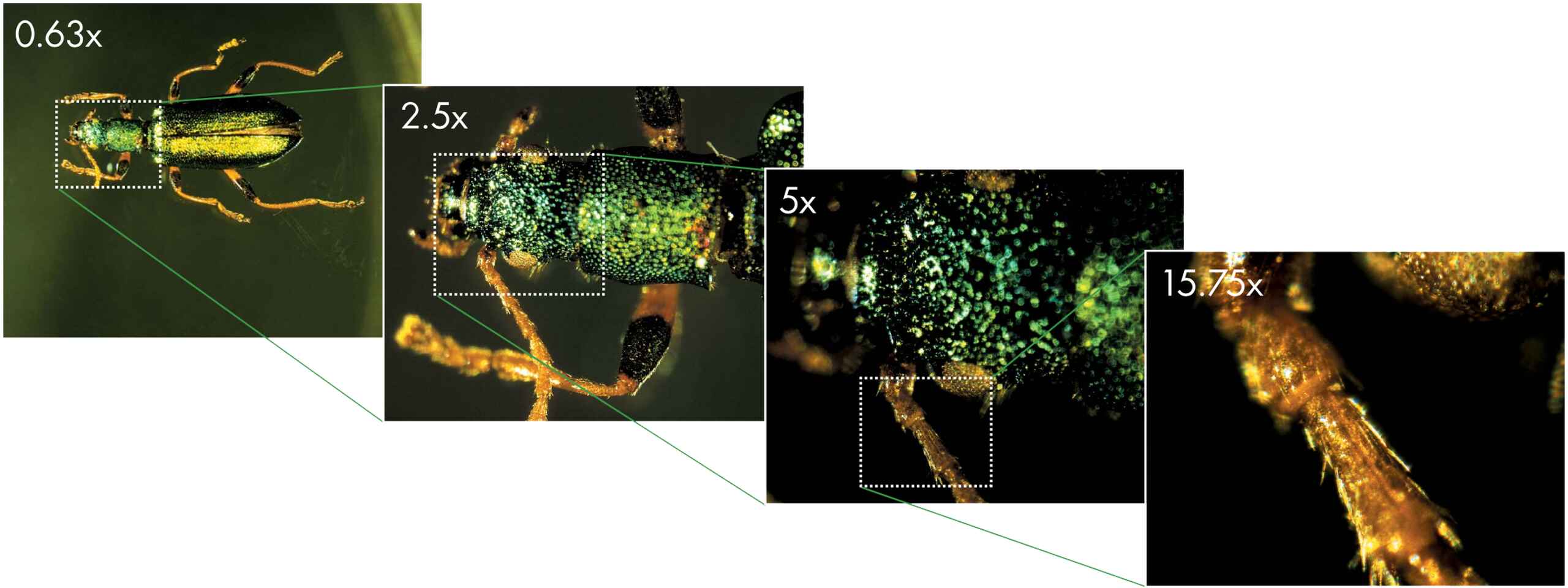SMZ25 / SMZ18 | 体视显微镜 | 显微镜产品 | 尼康精机（上海）有限公司