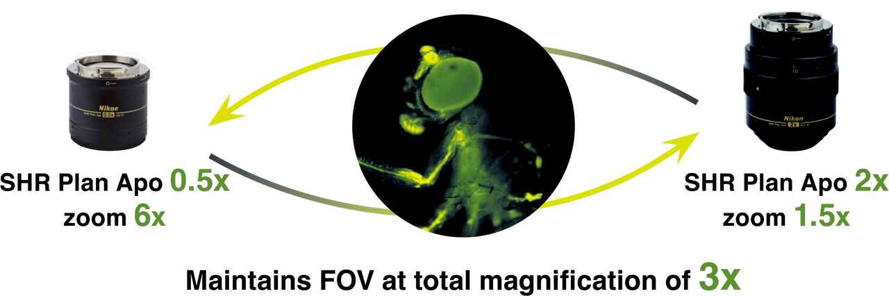 SMZ25 / SMZ18 | Stereo Microscopes | Microscope Products | Nikon Instruments Inc.