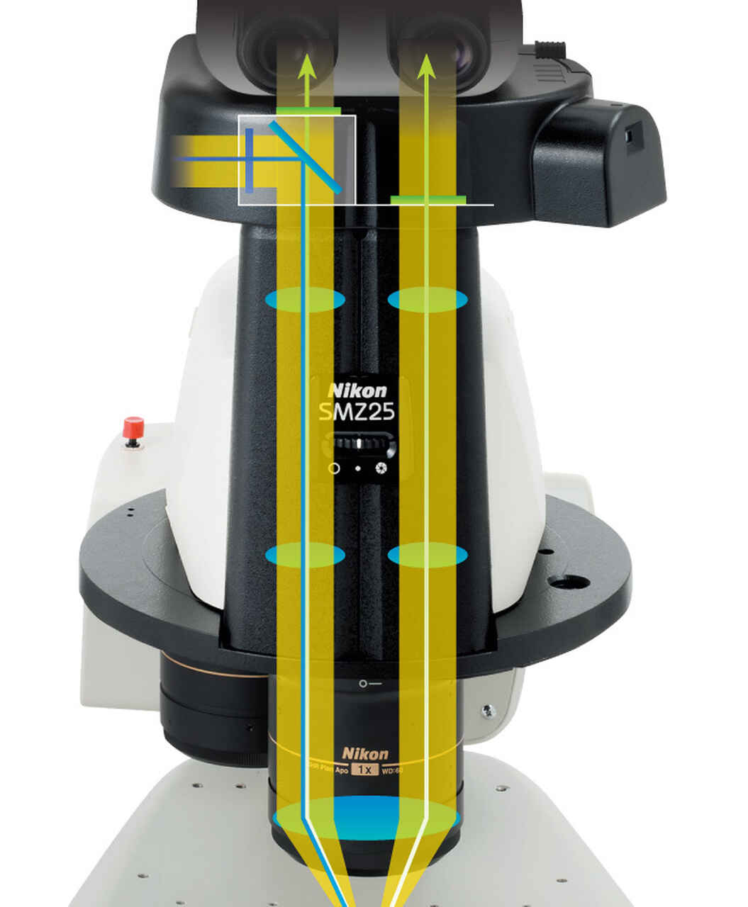 SMZ25 / SMZ18 | 実体顕微鏡 | 製品・サービス | 株式会社ニコンソリューションズ