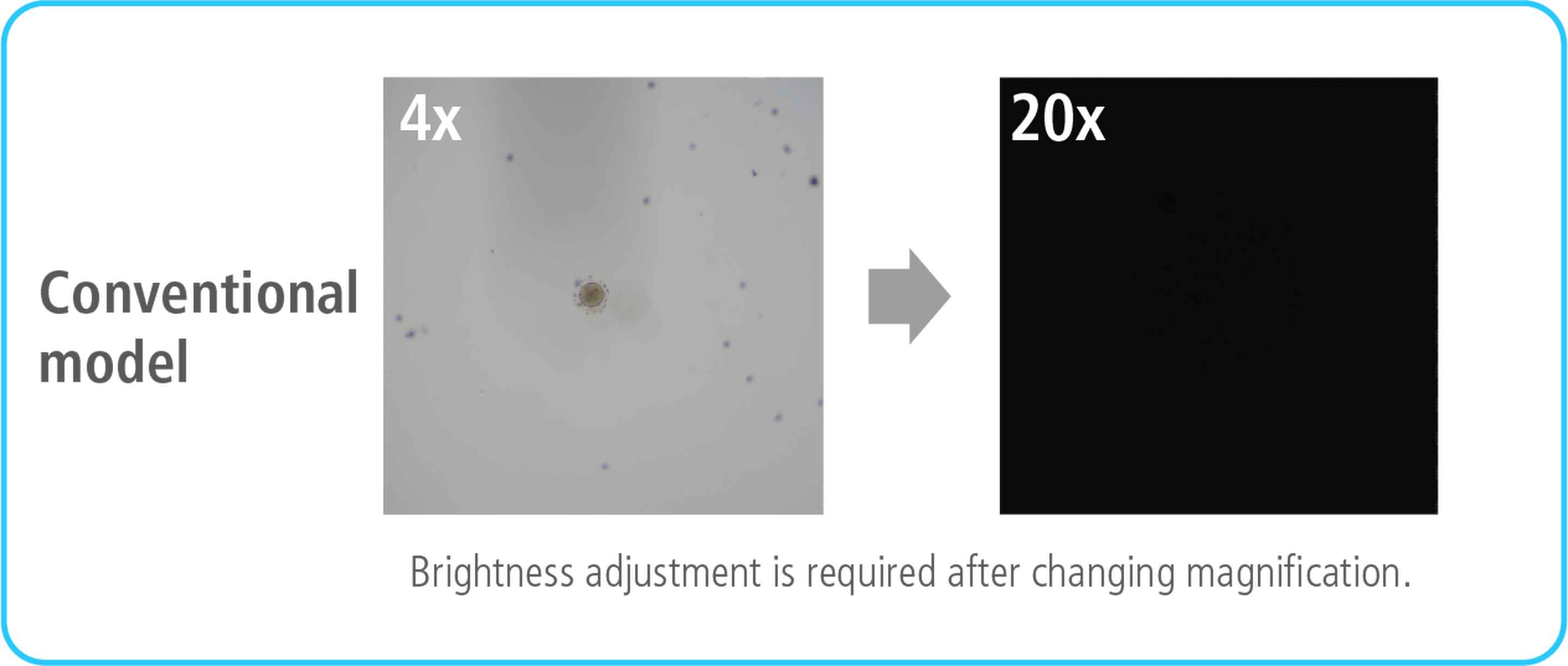 ECLIPSE Ti2-I | Inverted Microscopes | Microscope Products | Nikon ...