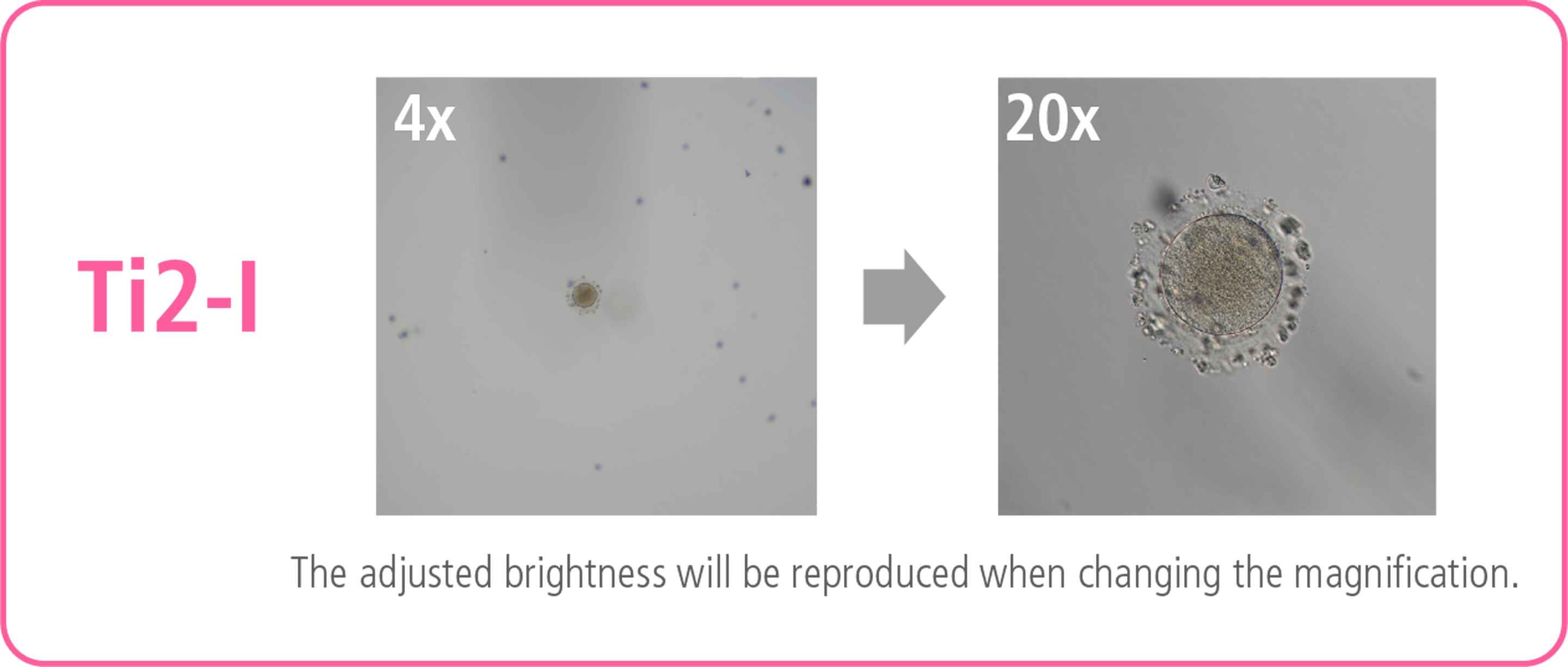 ECLIPSE Ti2-I | Inverted Microscopes | Microscope Products | Nikon Europe B.V.