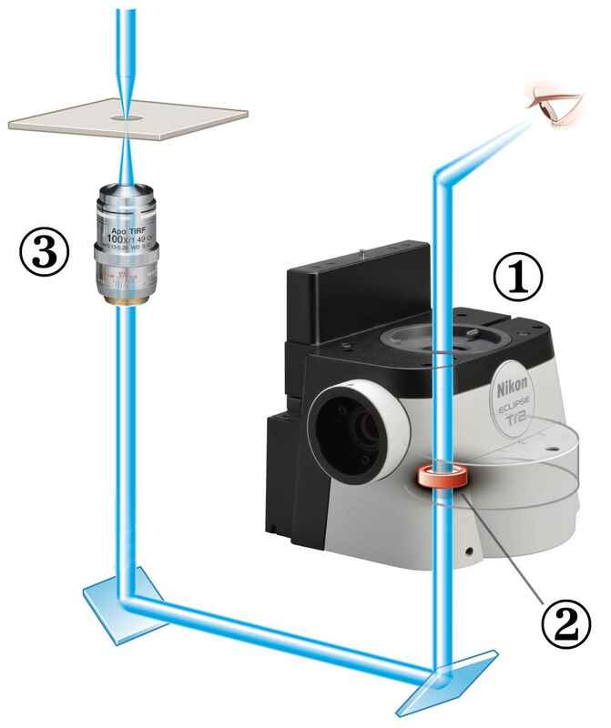 ECLIPSE Ti2 Series | Inverted Microscopes | Microscope Products | Nikon ...