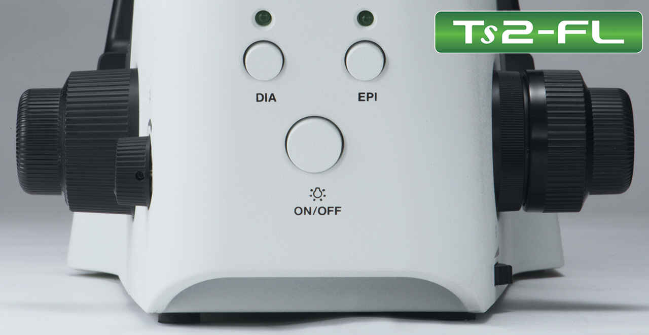 ECLIPSE Ts2 | Inverted Microscopes | Microscope Products | Nikon ...