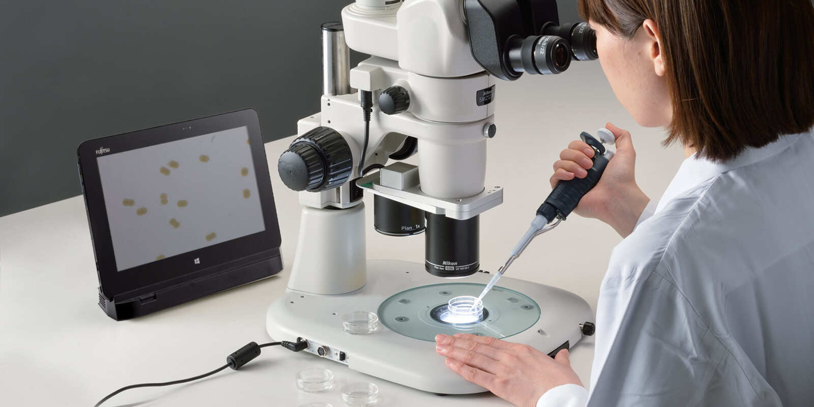 Specifications | SMZ1270 / SMZ1270i | Stereo Microscopes | Microscope ...