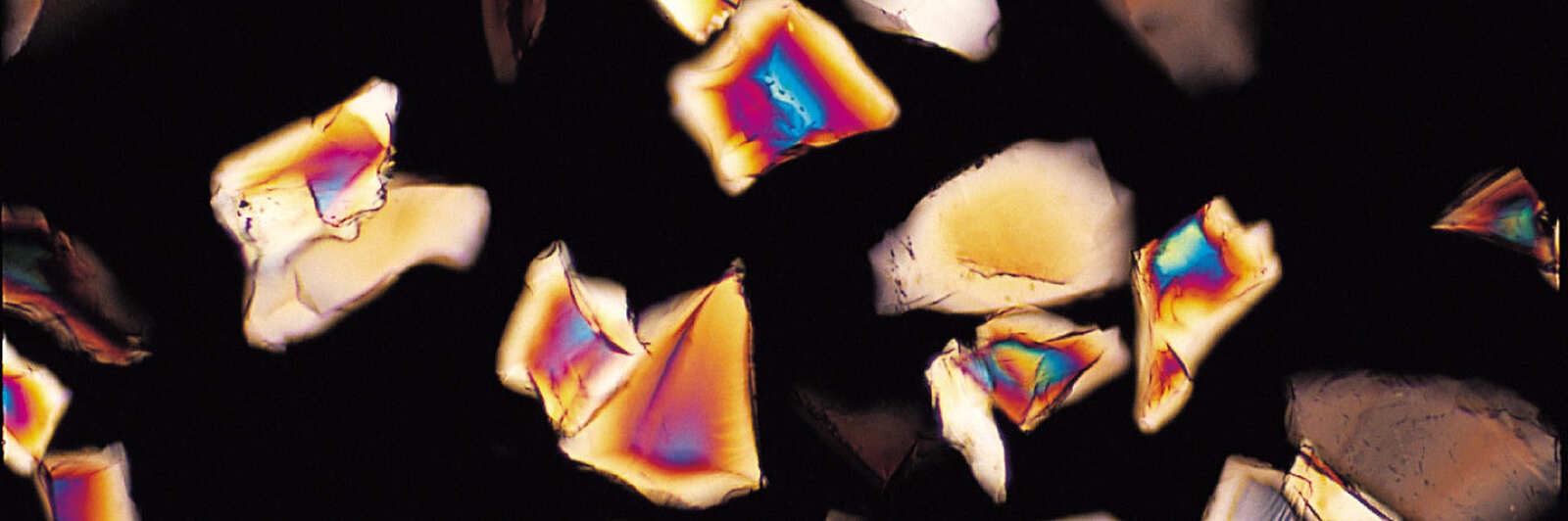 Specifications | ECLIPSE E200 POL | Polarizing Microscopes | Microscope ...