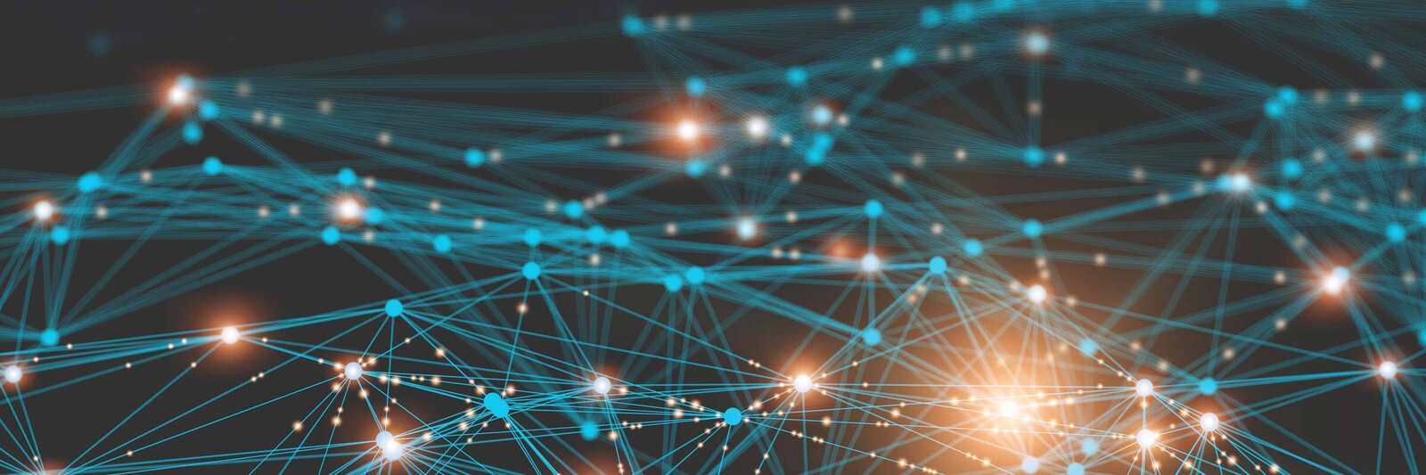 NIS-Elements Viewer | NIS-Elements | Software | Microscope Products | Nikon Europe B.V.