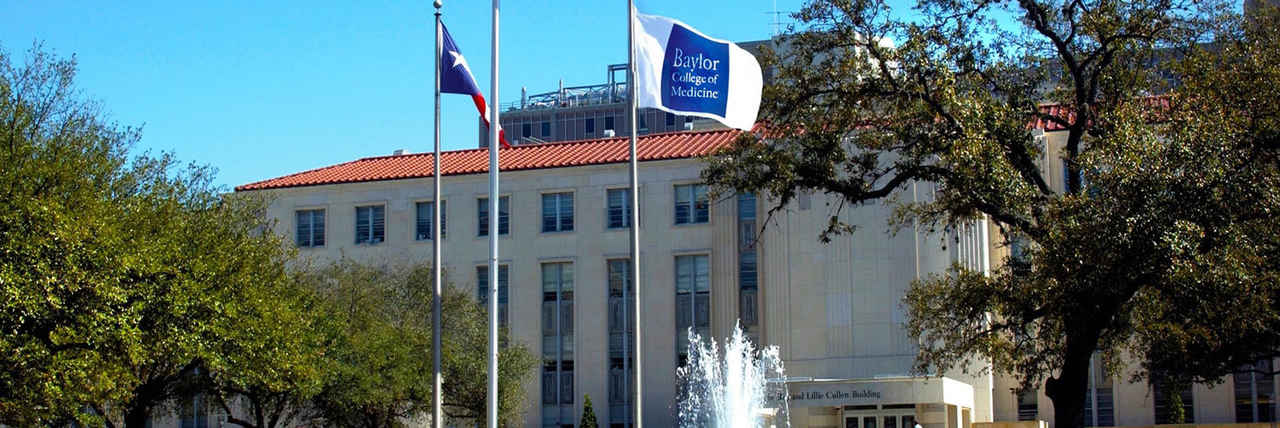 BioImaging Centers | | Nikon Europe B.V.