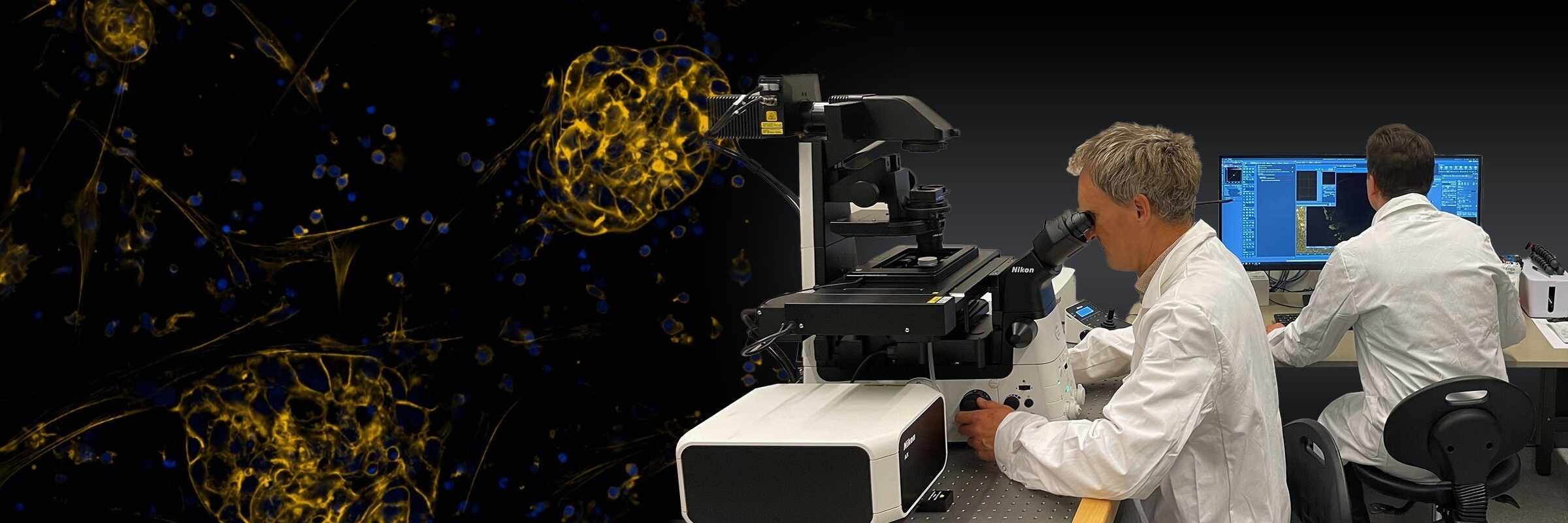 Resources | Nikon BioImaging Lab - Europe | Nikon Europe B.V.