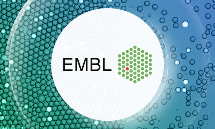 Nikon Europe increases support for EMBL’s innovative scientific ...
