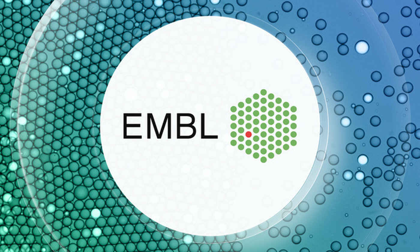 Nikon Europe increases support for EMBL’s innovative scientific ...