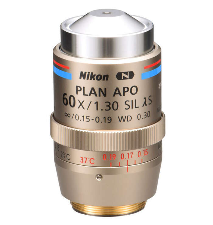 Nikon announces the CFI Plan Apo Lambda S 60XC Silicone Immersion Objective | News | Nikon ...