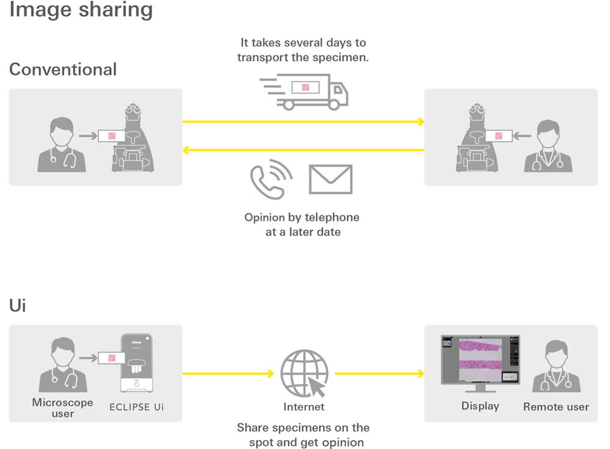 Nikon introduces the ECLIPSE Ui Upright Digital Microscope | News ...