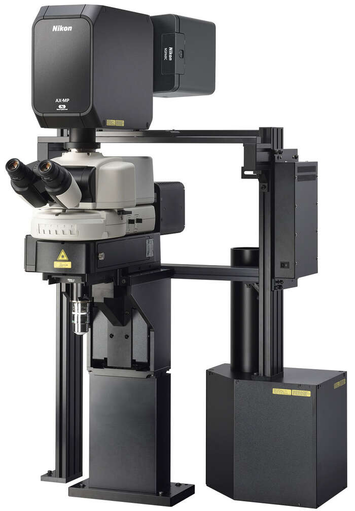 Nikon introduces the AX R MP with NSPARC Super-Resolution Multiphoton ...