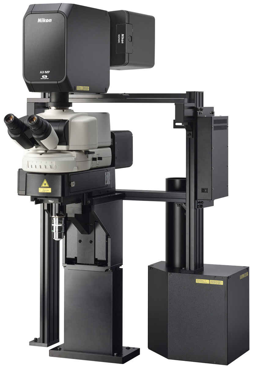 Nikon introduces the AX R MP with NSPARC Super-Resolution Multiphoton ...