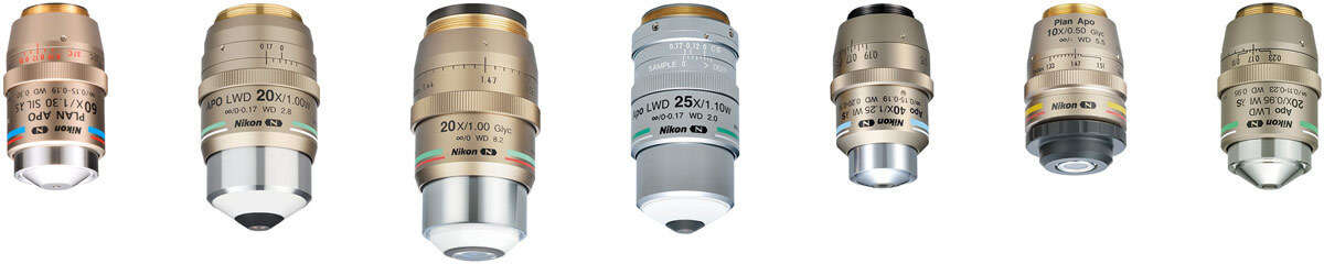 Nikon introduces the AX R MP with NSPARC Super-Resolution Multiphoton ...