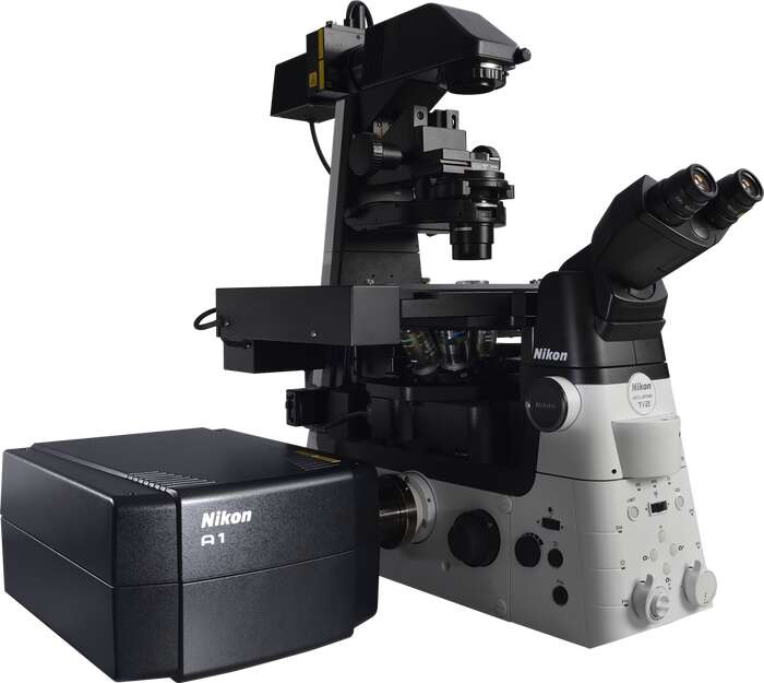 Nikon Releases Confocal Microscope with World’s Largest Field of View ...