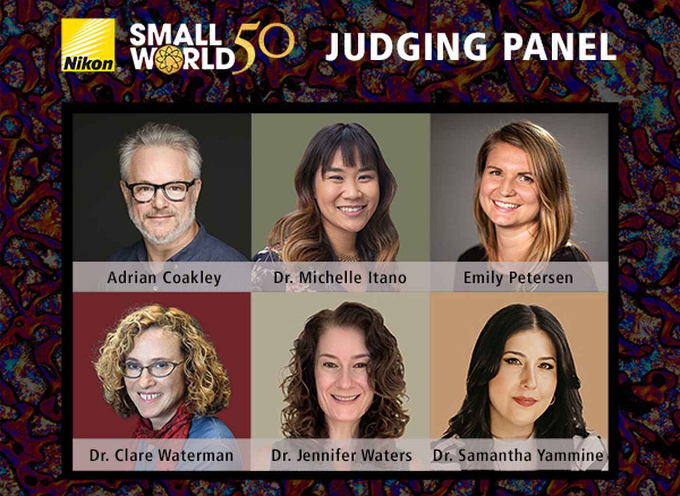 Nikon Announces Judging Panel for the 50th Annual Small World ...
