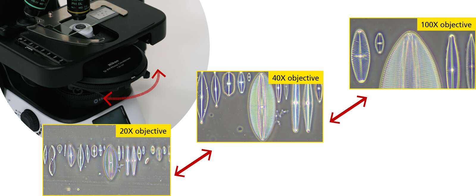 The SI-PH Phase Condenser is added as an accessory option to the lineup ...