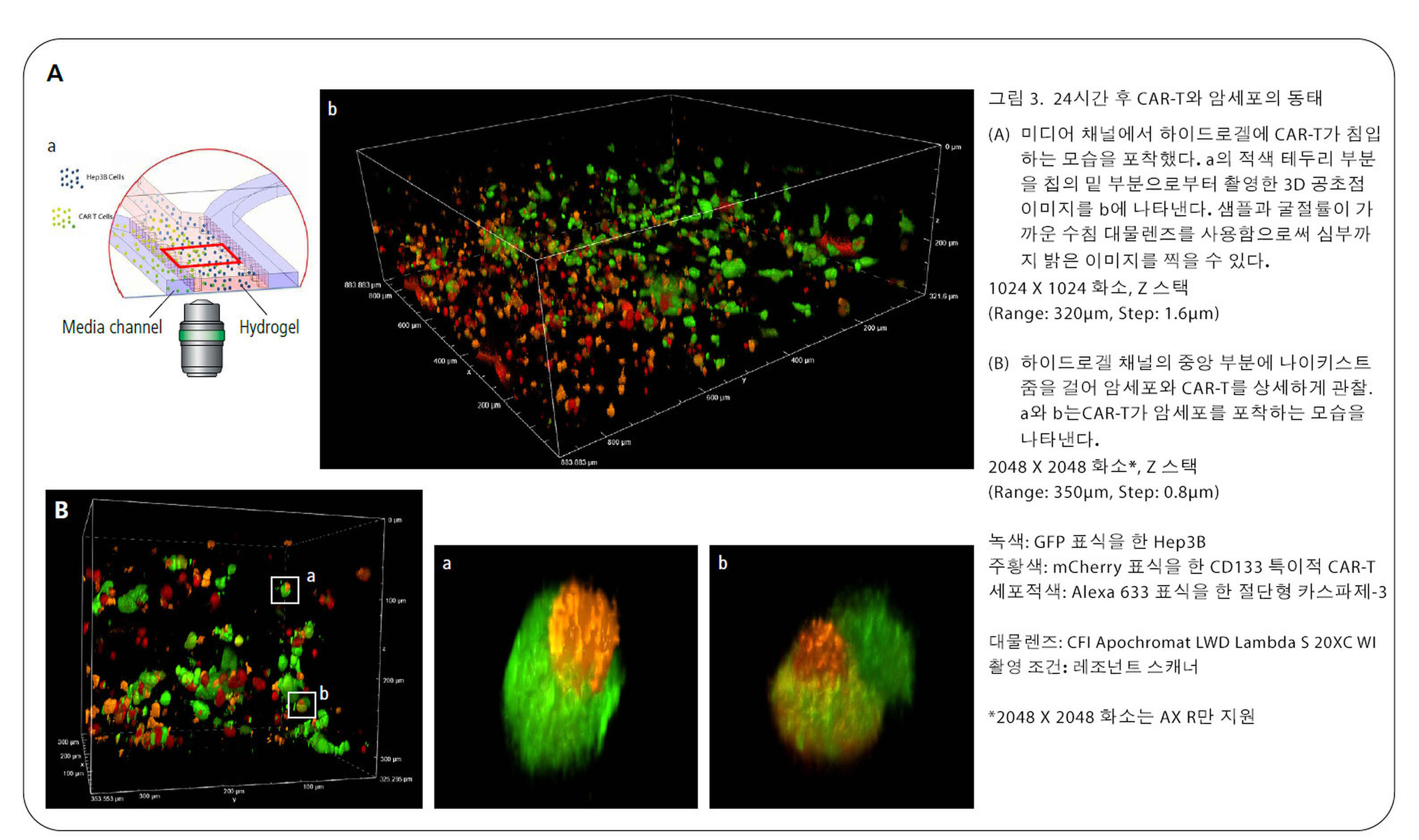 니콘, 초해상 공초점현미경‘AX R with NSPARC 2K’ 출시 | 뉴스 | 니콘인스트루먼트코리아